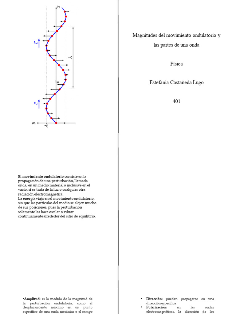 Fisica | PDF | Olas | Longitud de onda