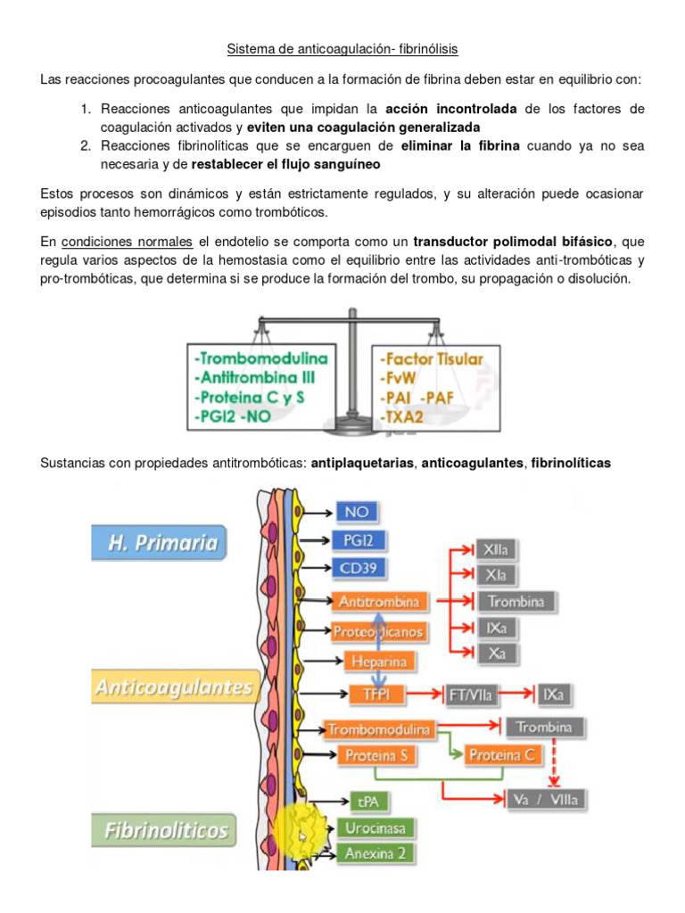 10 - sistema de anticoagulación- fibrinolisis | PDF | Coagulación ...