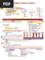 Classificação CEAP em Insuficiência Venosa | PDF | Varizes | Veia