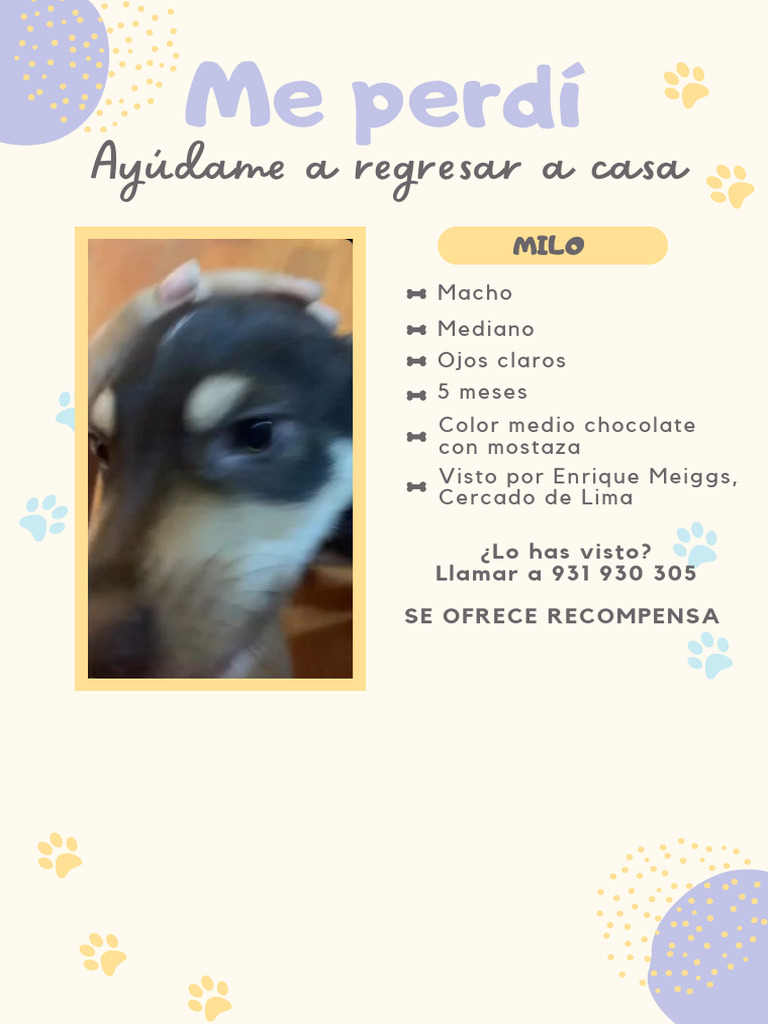 Póster de se busca mascota perro llamativo azul y morado | PDF