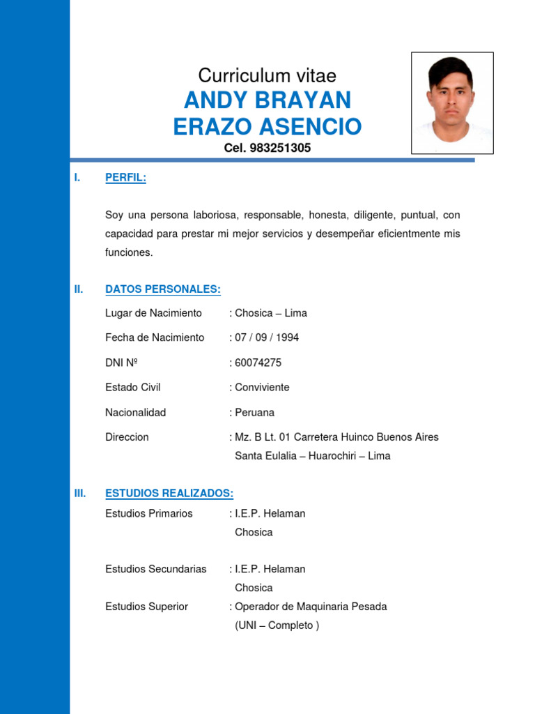 Curriculum Vitae Andy Brayan Erazo | PDF