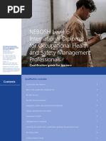 NEBOSH IDip Sample Exam | PDF