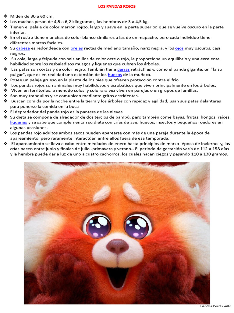 Los Pandas Rojos | PDF | Hogar, jardinería y bricolaje | Ciencia y ...