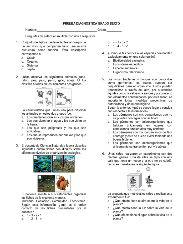 Prueba Diagnóstica Ciencias Sexto Grado | PDF | Microorganismo | Agua