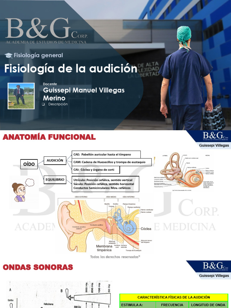 Fisiología de La Audición (Superintensivo) | PDF | Escuchando | Audiología