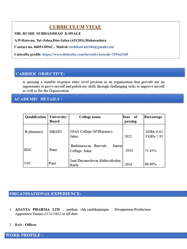 RSK CV! | PDF | Computing