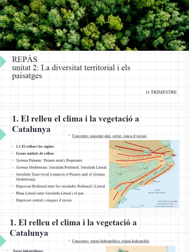 REPAS_II | PDF