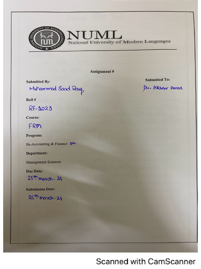 FRM - Assignment # 2 | PDF