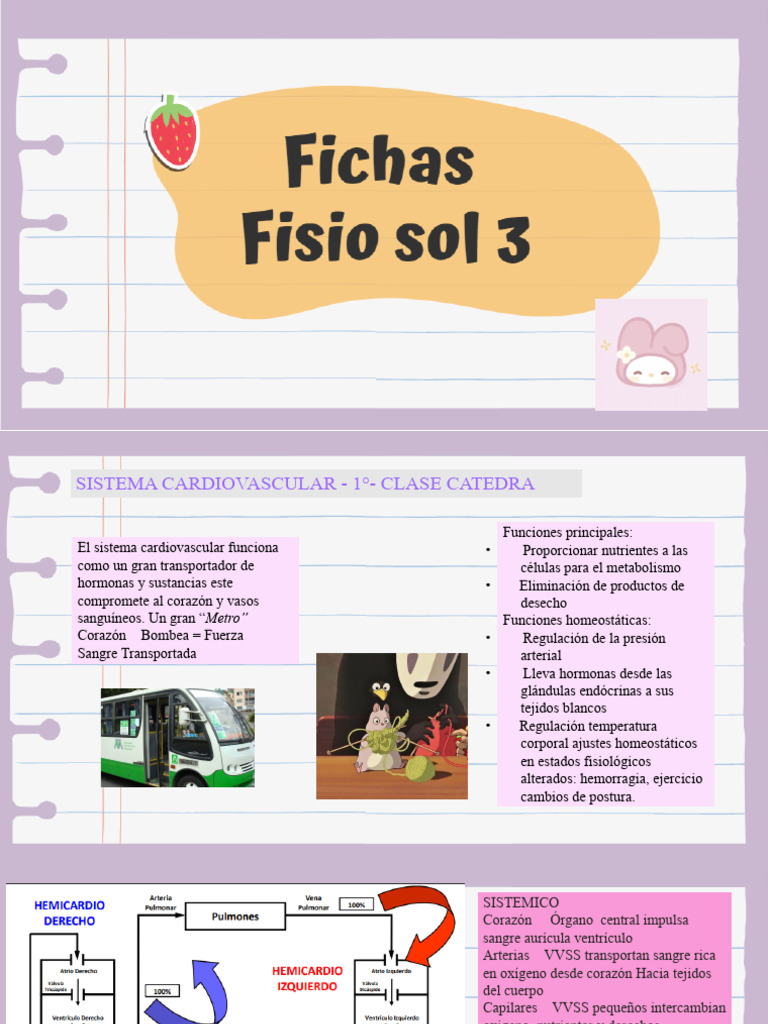 Fichas Sol III | PDF | Corazón | Sistema circulatorio