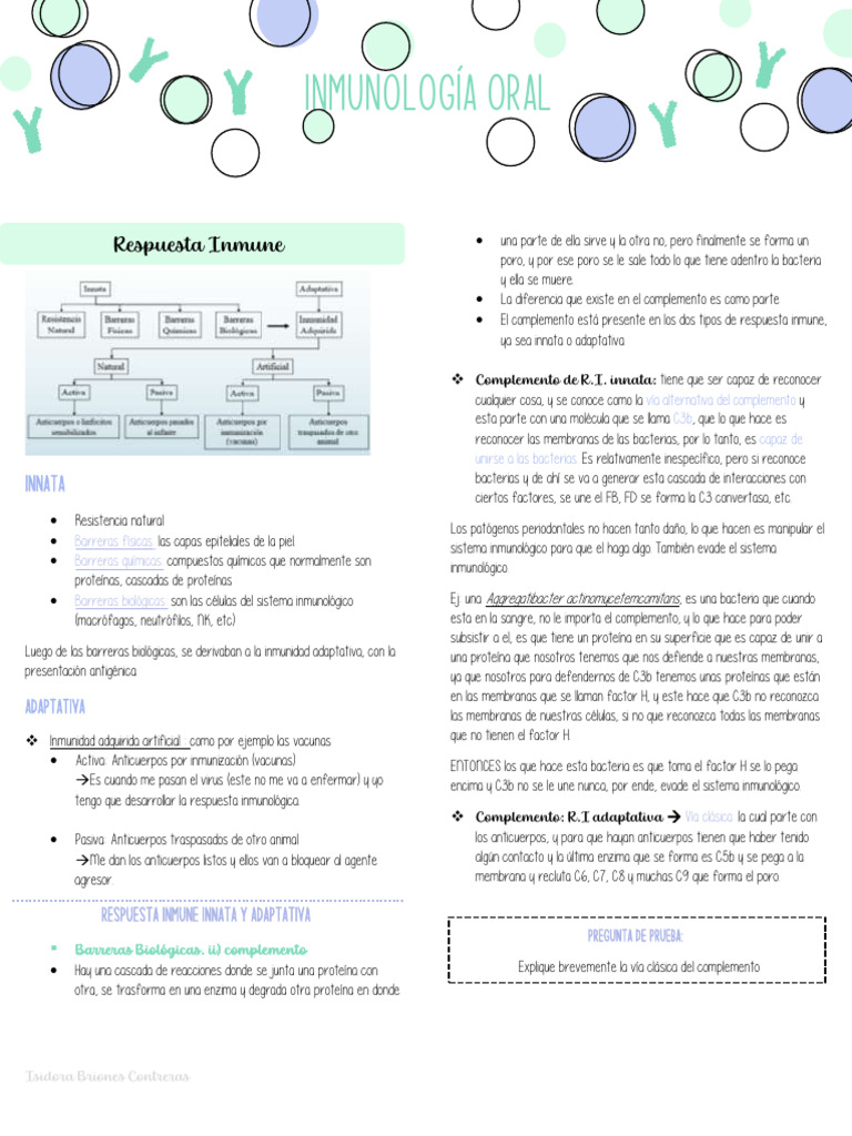 Respuesta Inmune (Solemne 2) | PDF | Sistema inmune | Sistema complementario
