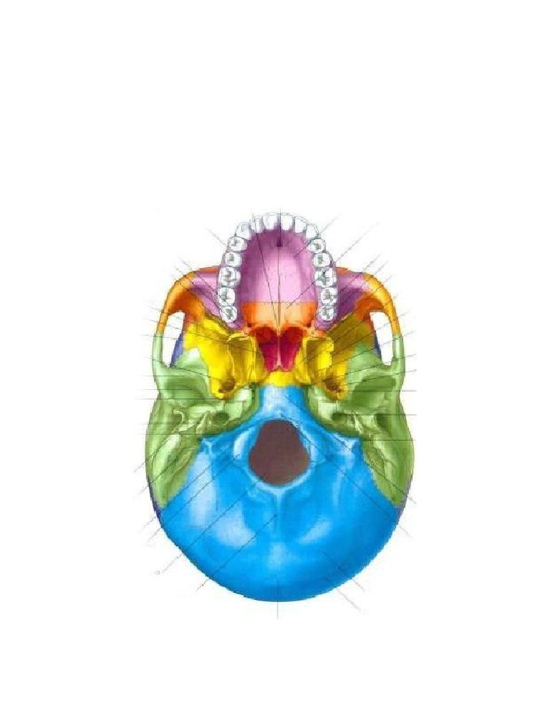 Vision Exocraneal | PDF