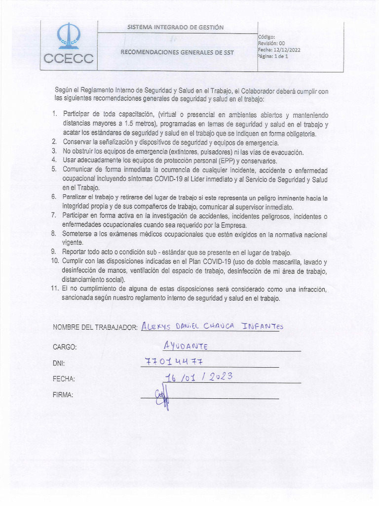 Recomendaciones Sst-Alexys Chauca | PDF