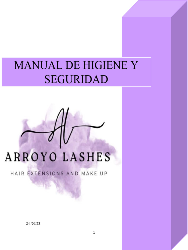 Manual de Seguridad e Higiene | PDF | Seguridad y salud ocupacional | Valores