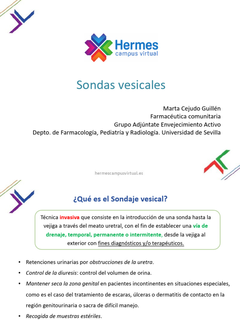 Guía Completa Sobre Sondas Vesicales Pdf Sistema Urinario Sistema