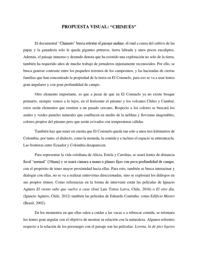 Propuesta Visual-Chimués | PDF