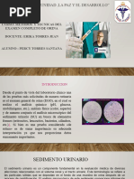 AZOADOS | PDF | Ciencia y matemáticas