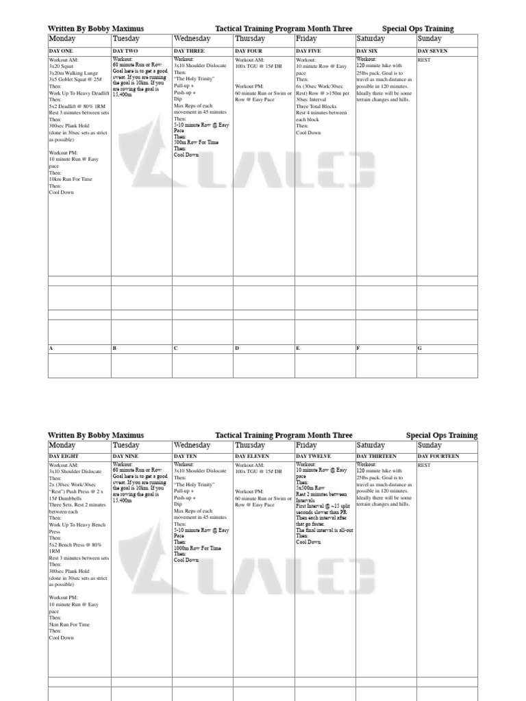 Tactical Training Month Three | PDF | Weight Training | Physical Exercise