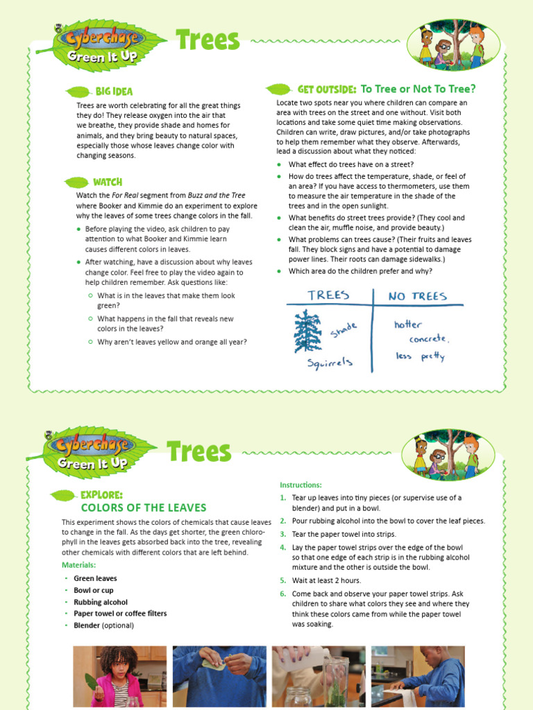 Trees_activity-cards | PDF