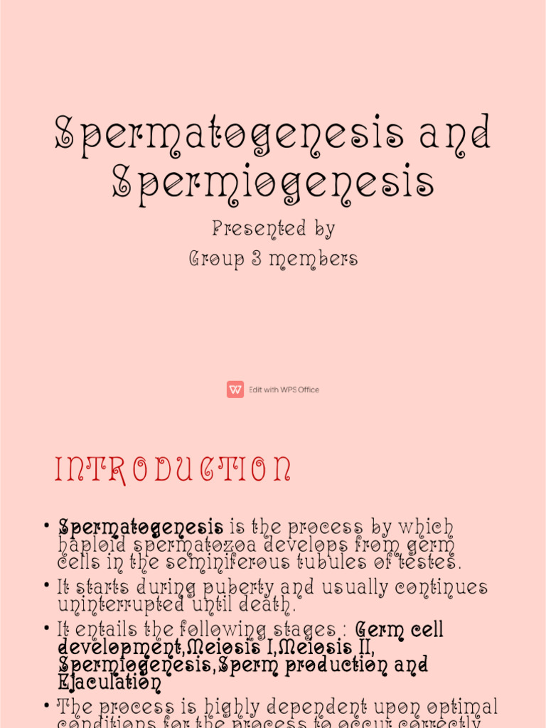 Spermatogenesis Group 3 Presentation | PDF | Meiosis | Ejaculation
