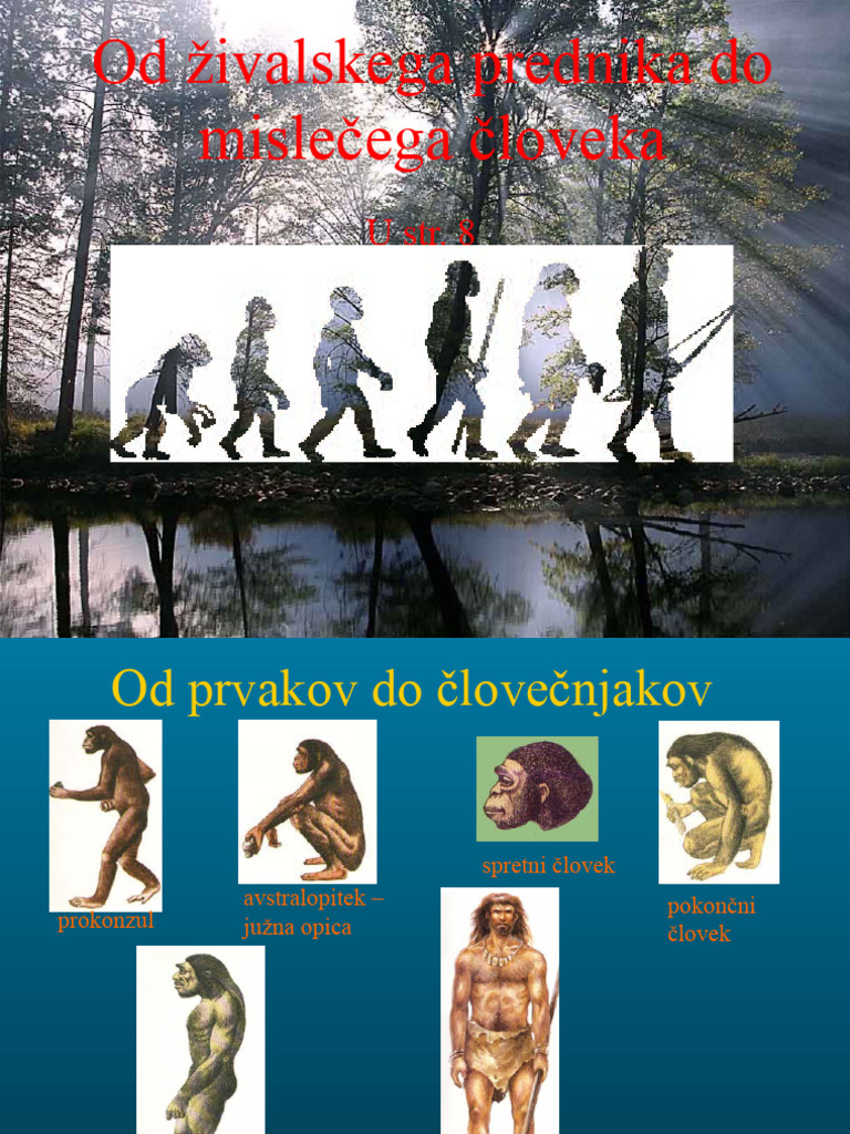 Evolucija Človeka - Zgodovina 7 Razred | PDF