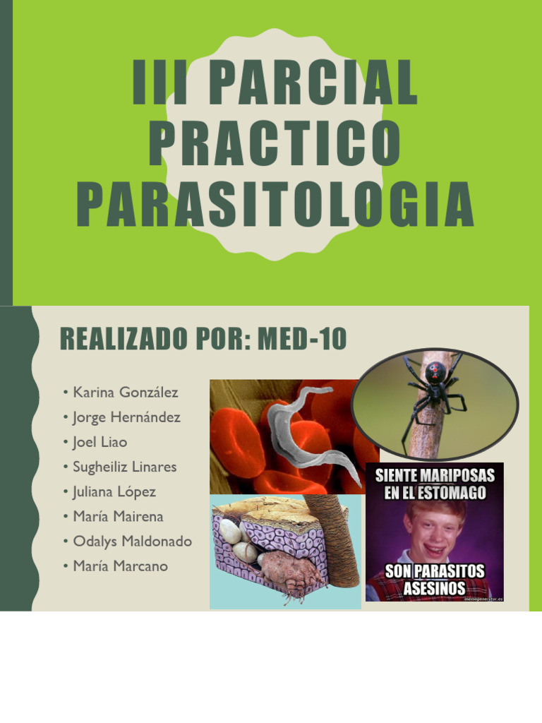 III Parcial Practico | Descargar gratis PDF | Araña | Leishmania
