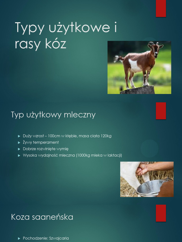 Rasy Kozy | PDF