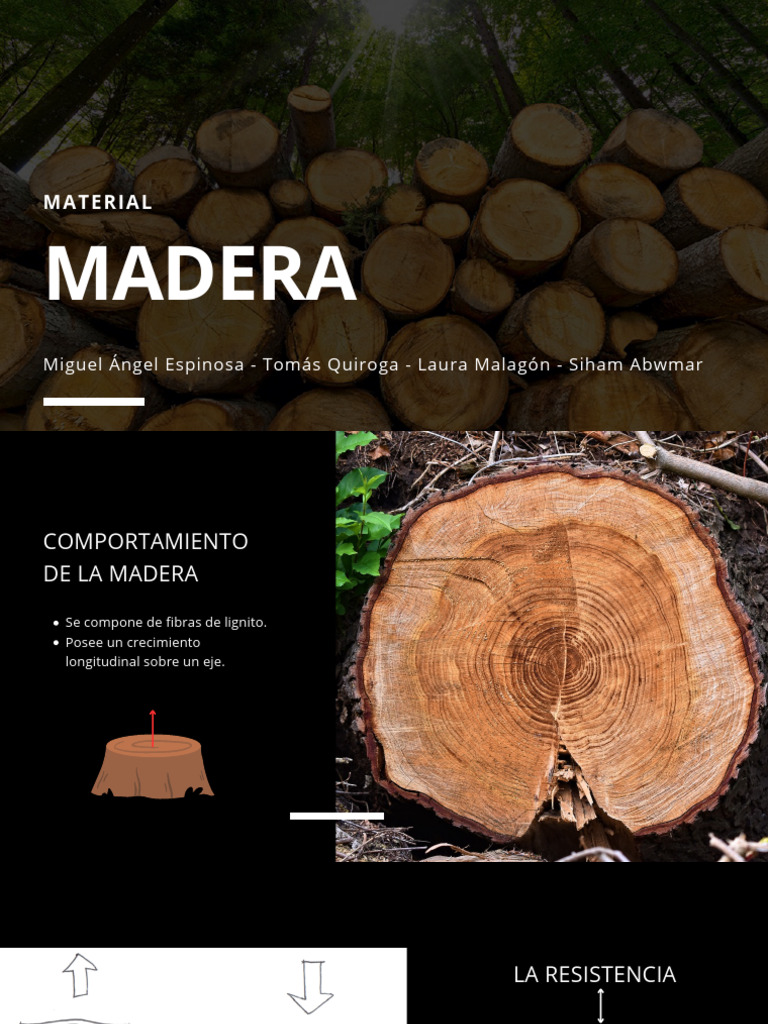 Madera Como Material Constructivo | PDF | Madera | Materiales