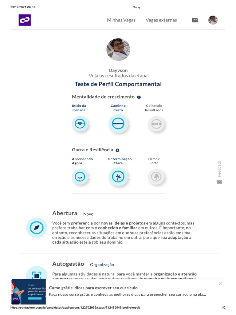 Teste Perfil Comportamental | PDF | Emoções | Tomada de decisões