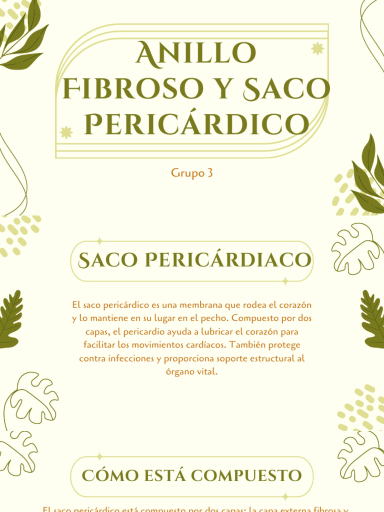 Anillo Fibroso | PDF | Corazón | Tórax (anatomía humana)