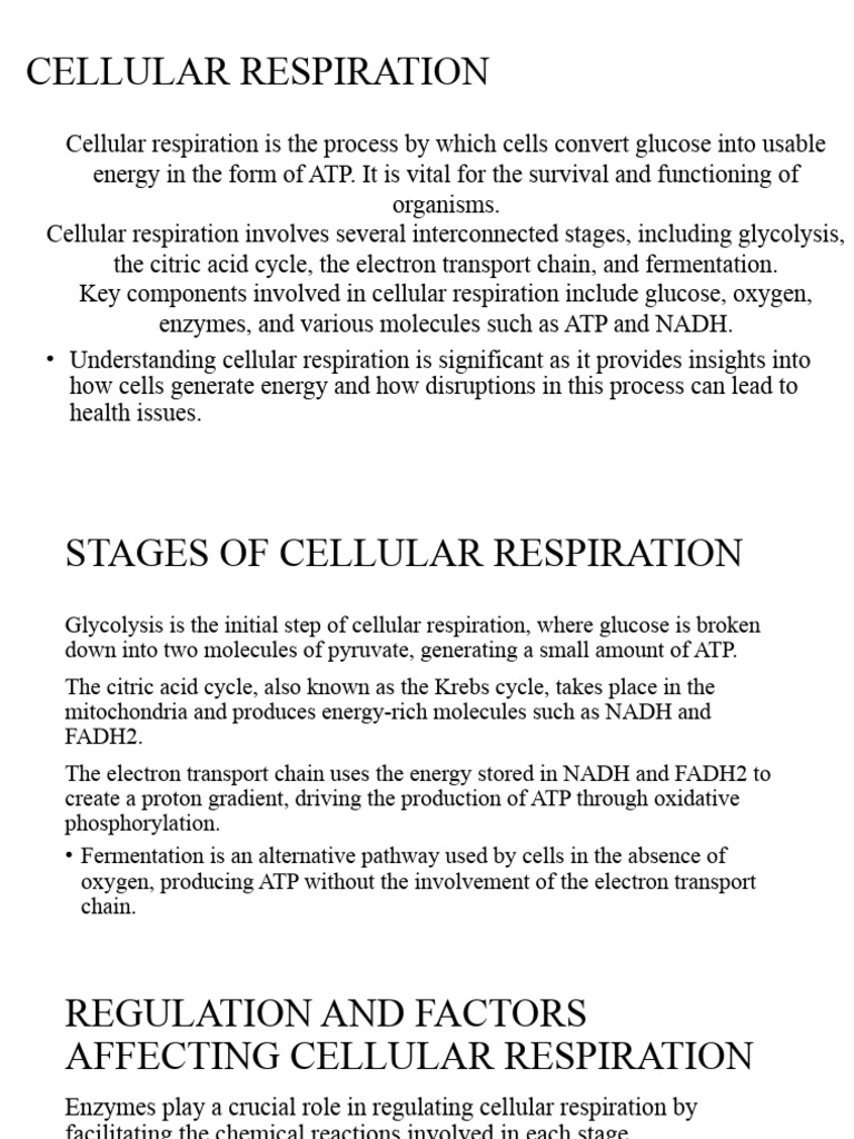 Cell Respiration Oral | Download Free PDF | Cellular Respiration ...