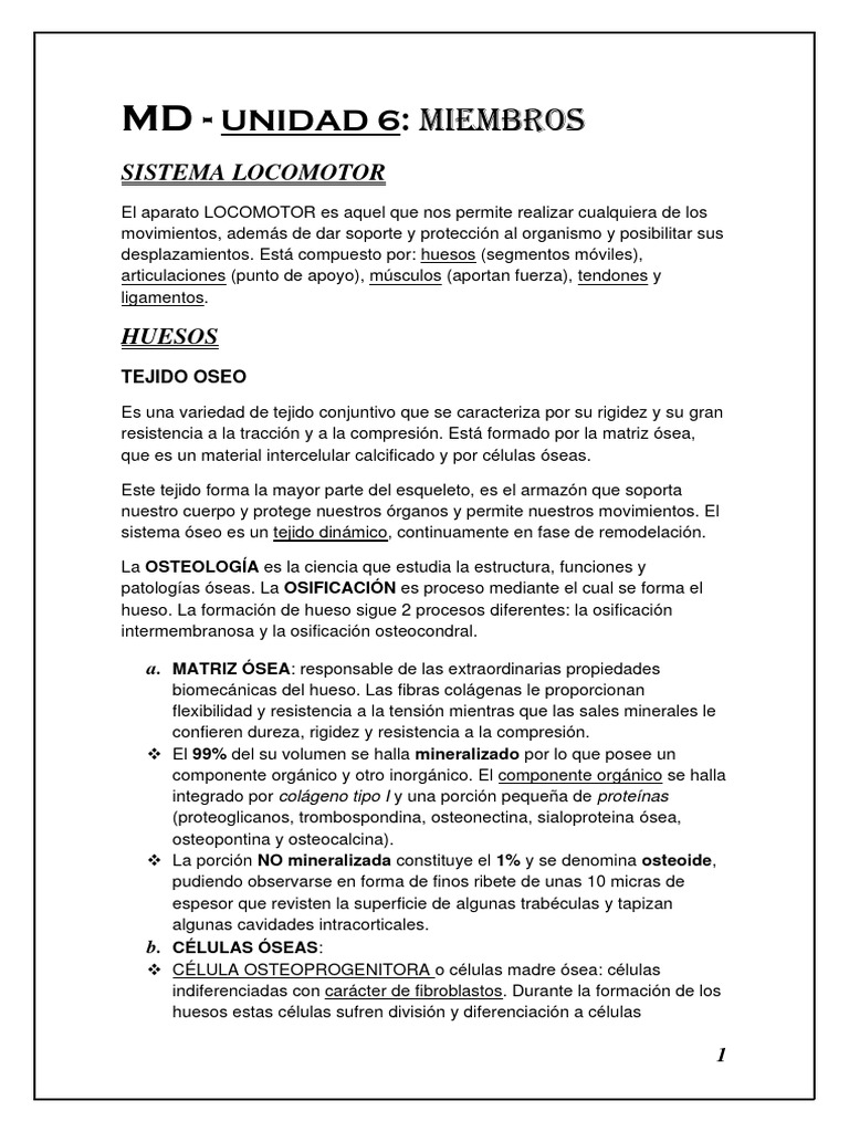 Resumen U6 Miembros MD | PDF | Articulación | Cráneo