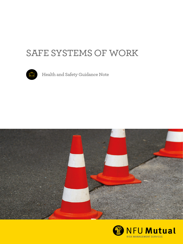 Safe Systems | PDF | Occupational Safety And Health | Risk