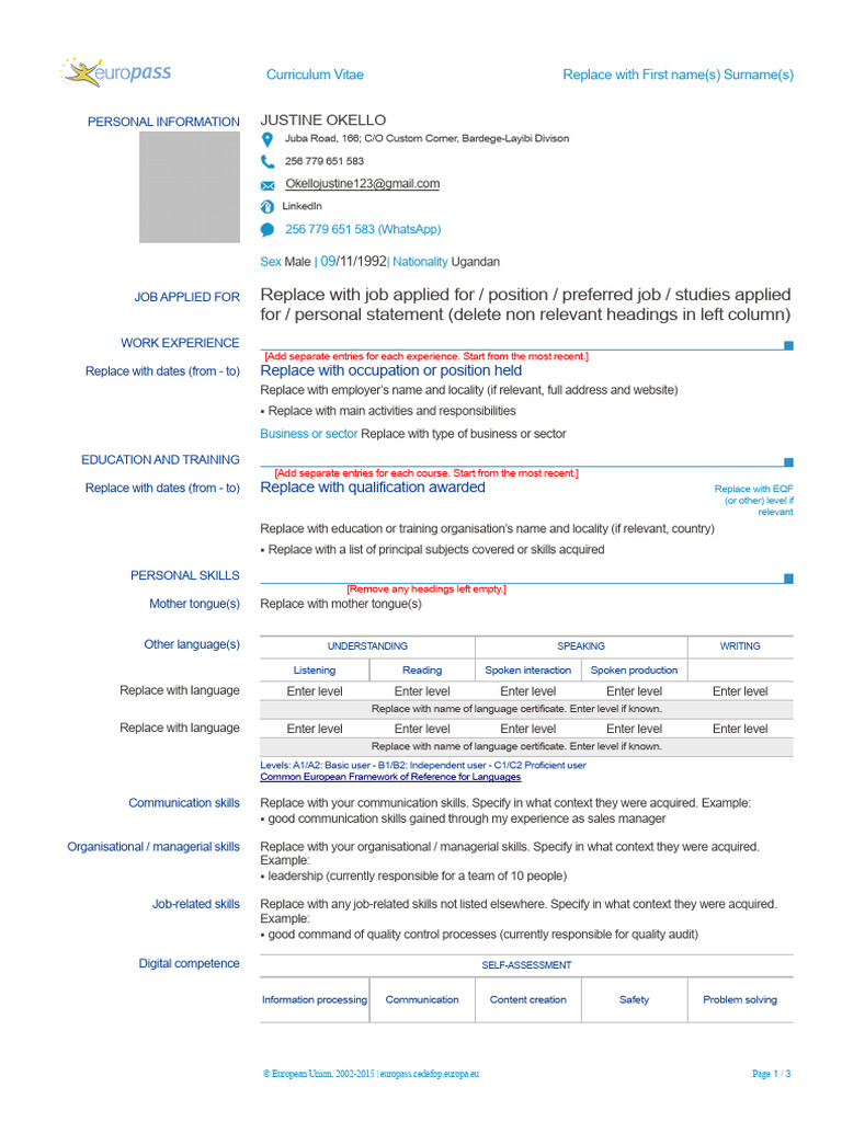 EuroPass Standard - CV Templete | PDF | Software