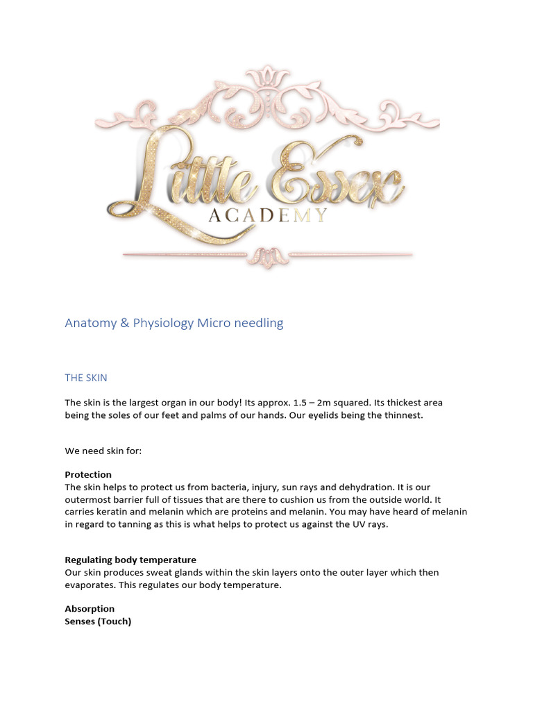 Skin Anatomy and Micro Needling Guide | PDF | Skin | Epidermis