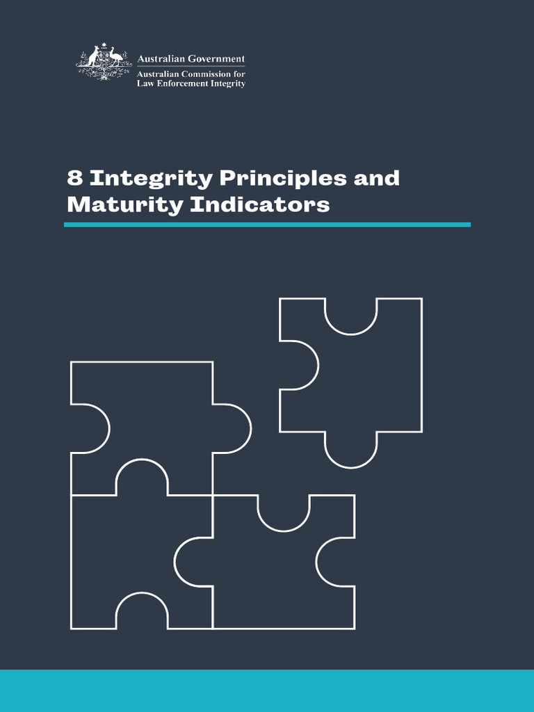 8 Integrity Principles and maturity | PDF | Integrity | Risk Management