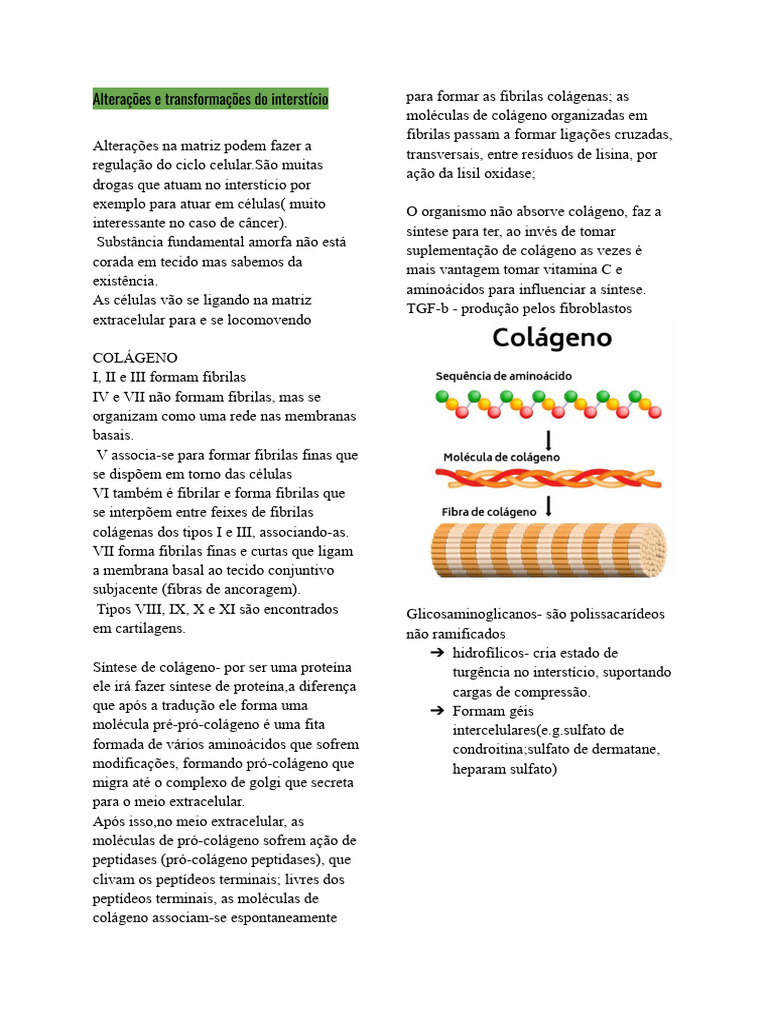 Alterações e Transformações Do Interstício | PDF | Colágeno | Célula ...