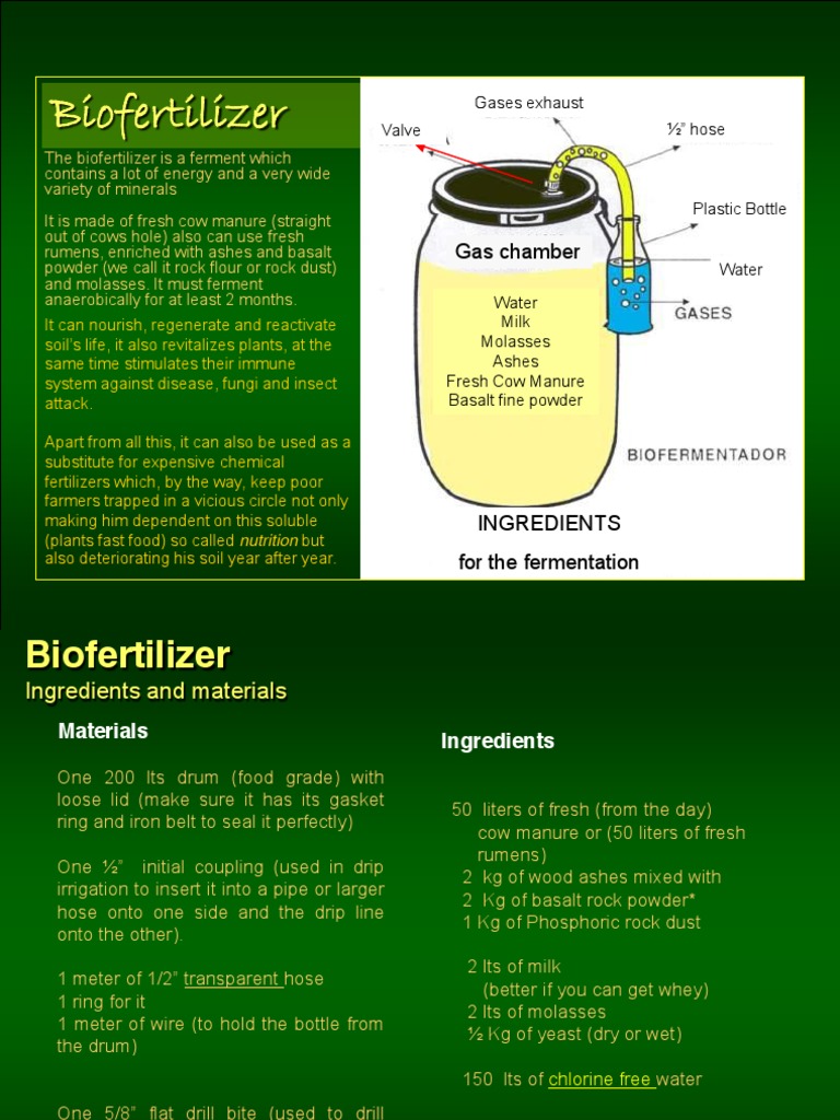 Biofertilizer Preparation Guide | PDF | Manure | Cattle