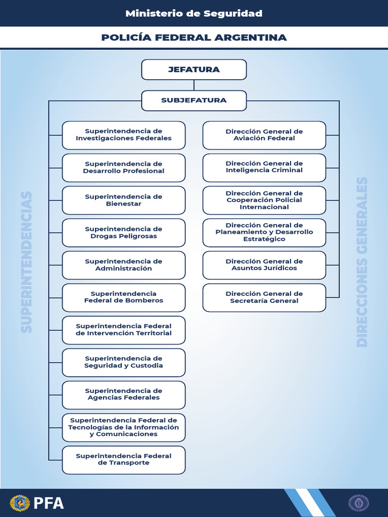 Estructura Pfa 2024-Organigrama | PDF