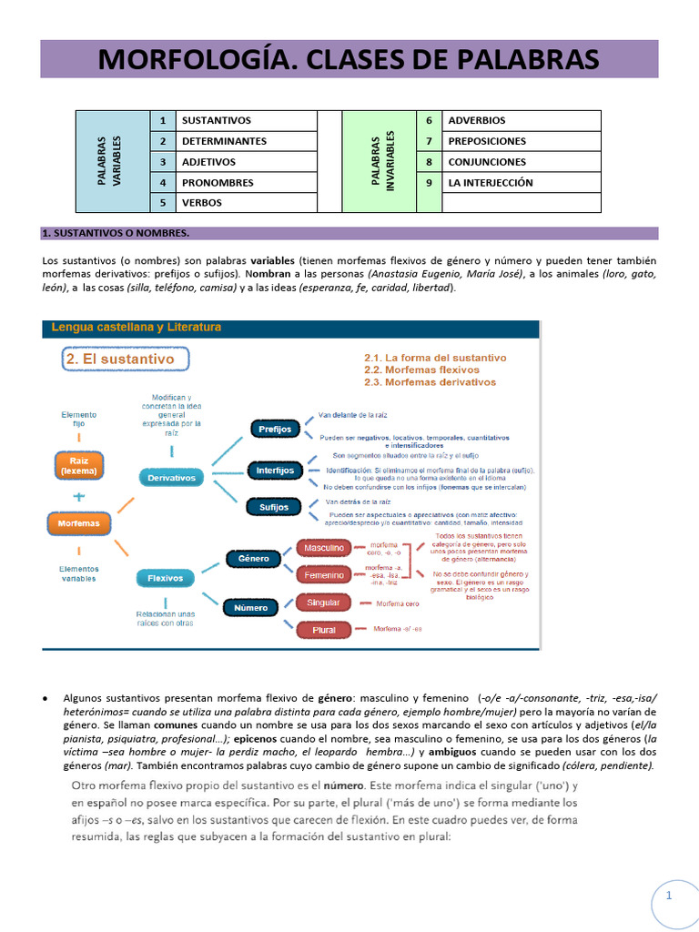 MORFOLOGÍA - Clases de Palabras. | PDF | Verbo | Sintaxis