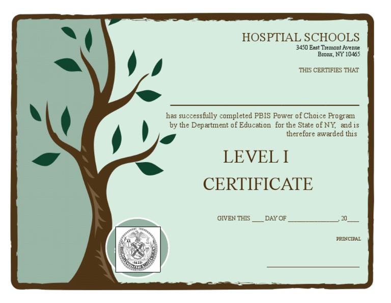 PBIS Power of Choice Level I Certificate | PDF