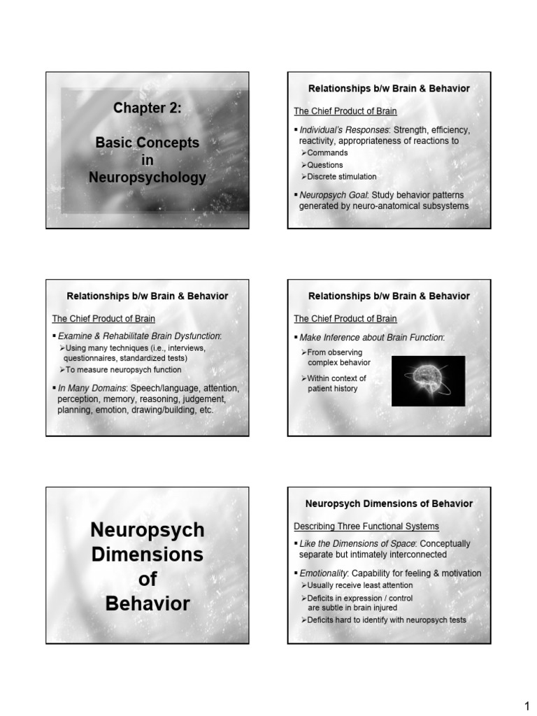 Lezak5 CH2 - Full | PDF | Memory | Perception