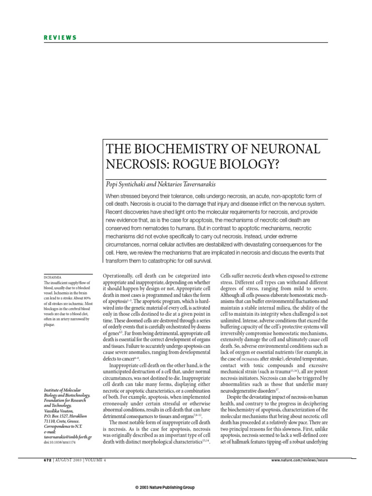 Mechanisms of Neuronal Necrosis Explained | PDF | Apoptosis | Necrosis