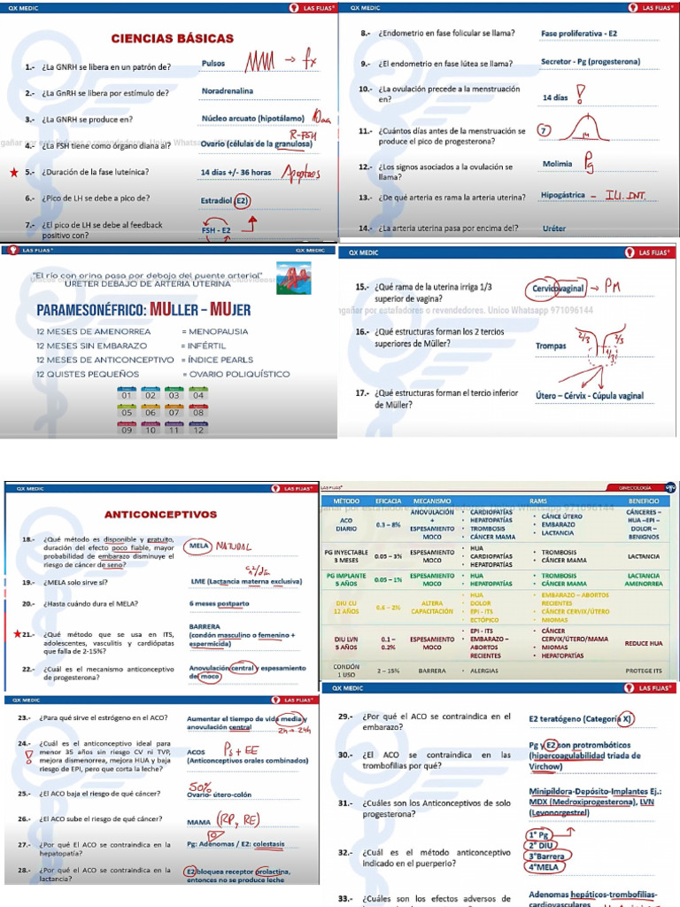 Ginecologia Fijas | PDF