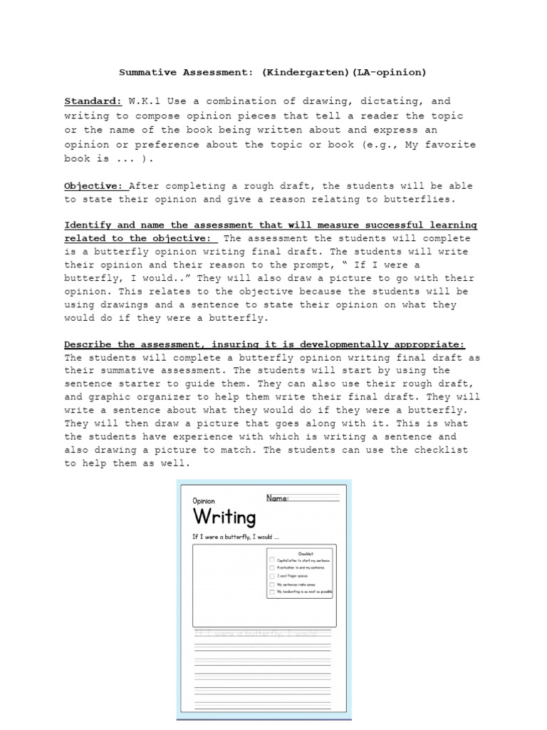 Summative Assessment Opinion Writing | PDF