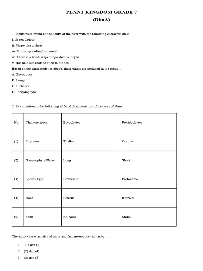 Plantae Kingdom English | PDF | Leaf | Plant Stem