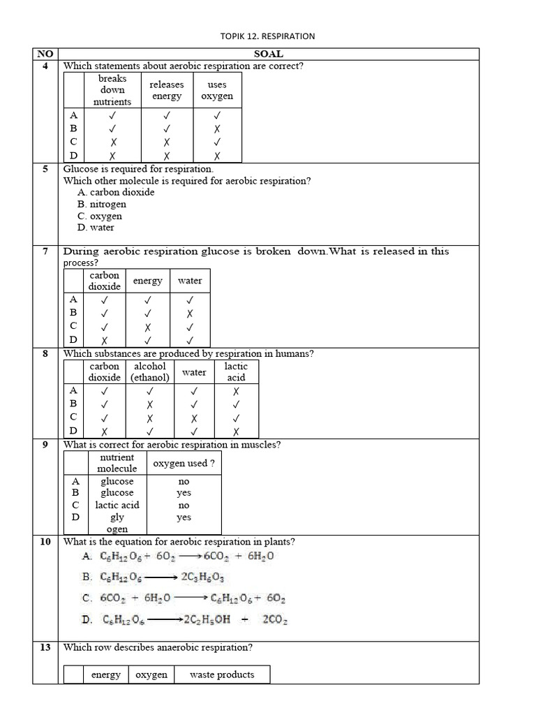 12 Respiration Pdf Cellular Respiration Biology