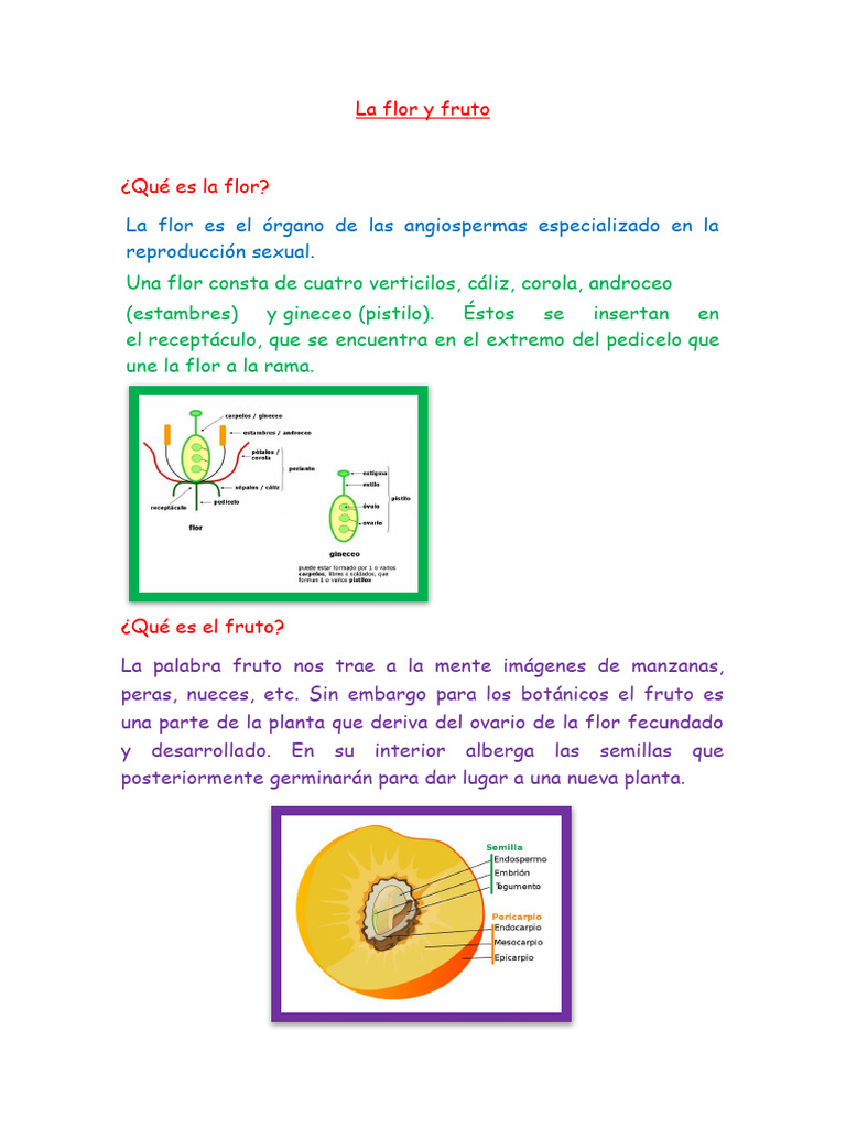 Flor y fruto: Reproducción en angiospermas | PDF | Hogar, jardinería y ...