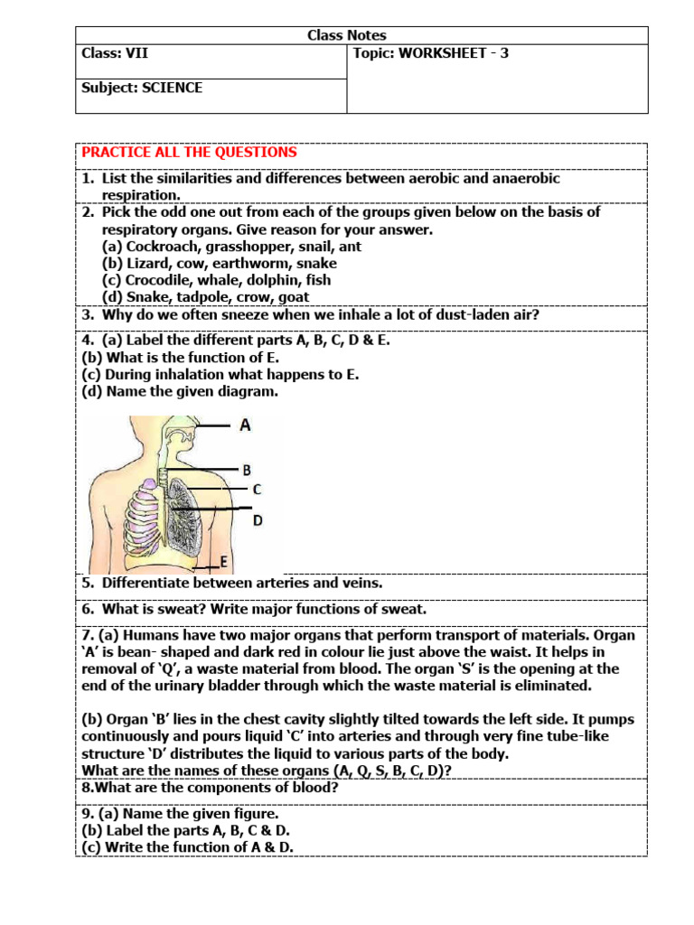7 Science | PDF | Reproduction | Sexual Reproduction