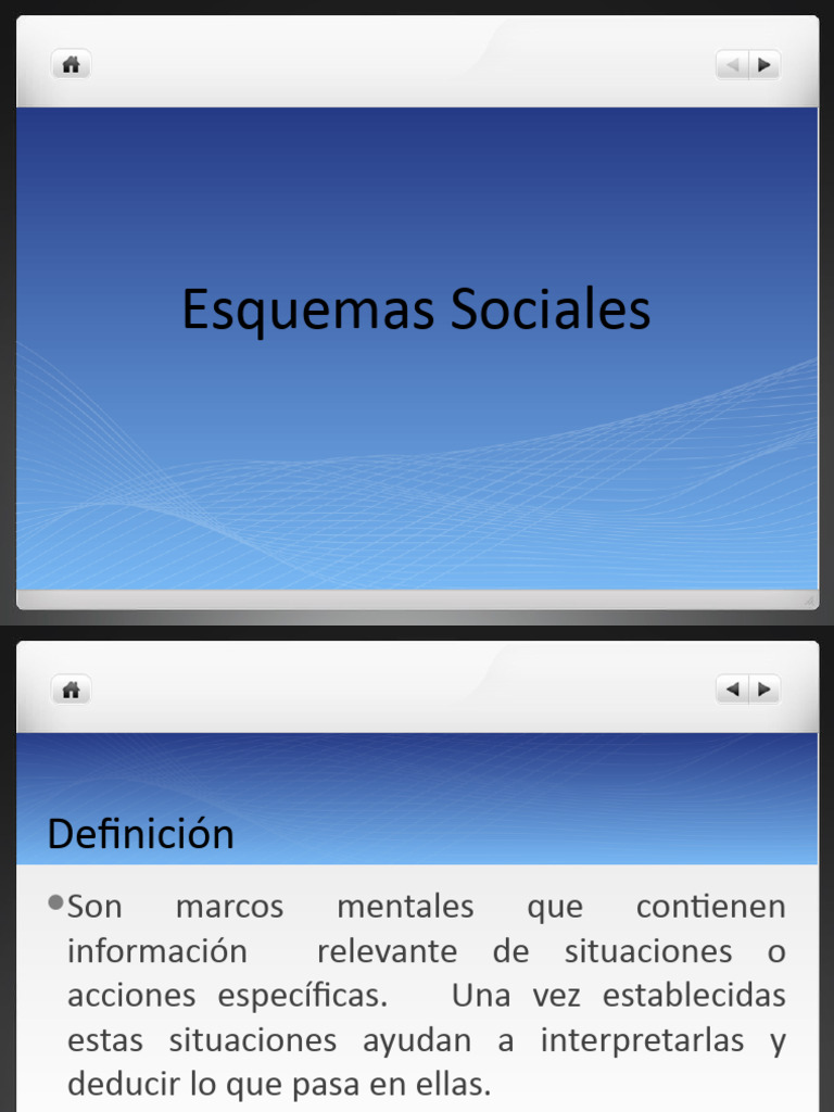 Esquemas Sociales y Cognición Explicados | PDF | Ciencia y matemáticas