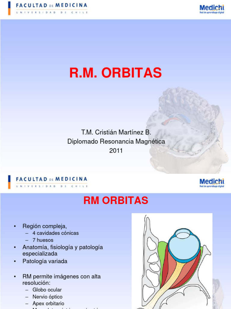 RM Orbitas | PDF | Oftalmología | Anatomía humana